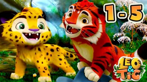 Leo And Tig All Episodes Compilation 1 5 New Animated Movie 2017