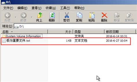 diskgenius恢复误删文件 u深度