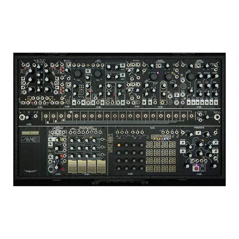 Make Noise Black And Gold Shared System Reverb