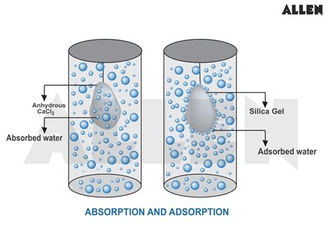 Adsorption And Absorption Save For Later 🚨 Stat Tuned For More 🔥