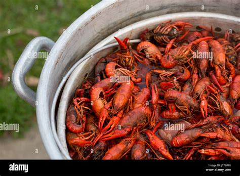 Cajun Cookout