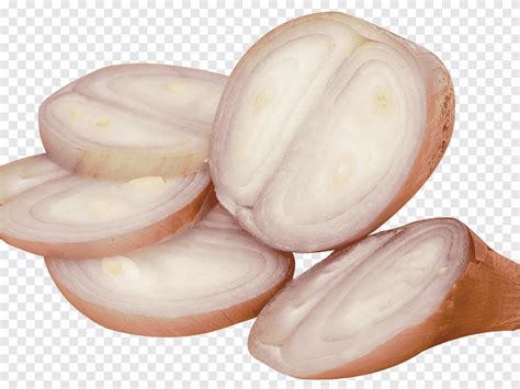 샬롯 휴대용 네트워크 그래픽 야채 야채 양파 샬 롯 Png Pngegg