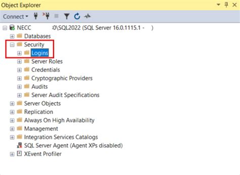 Sql Server Authentication