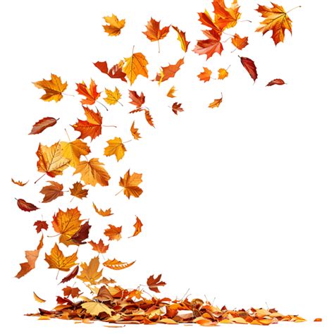 Falling Leaf Pngs For Free Download