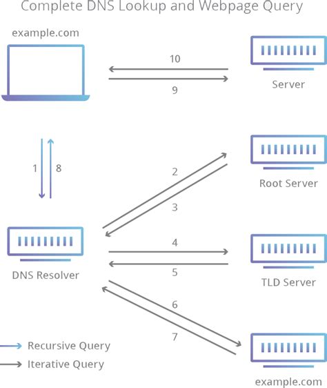 domain name system dns devguide