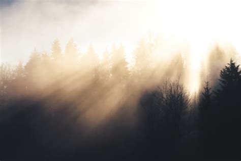 각도를 표시할때 쓰는 특수기호 완벽가이드