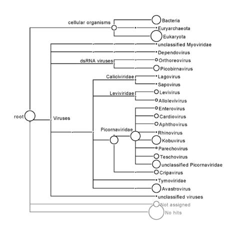 Megan Tree With Taxonomic Assignments The Blastx Output Of The Total Download Scientific