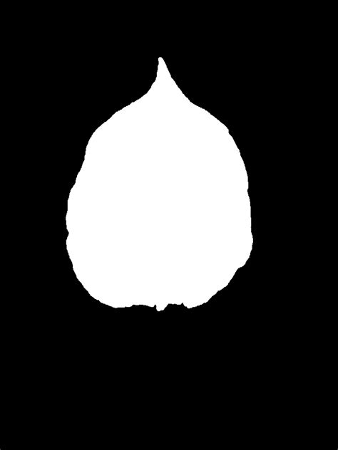 Java Background In Black And Image In White Colour Stack Overflow