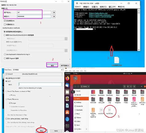 虚拟机与主机互传文件方法分享虚拟机文件怎么复制到本机 Csdn博客
