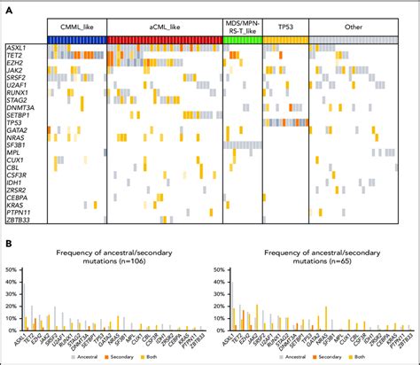 Molecular Landscape And Clonal Architecture Of Mdsmpn U A Oncoplot Download Scientific