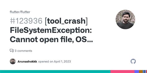 Toolcrash Filesystemexception Cannot Open File Os Error The System Cannot Find The Path