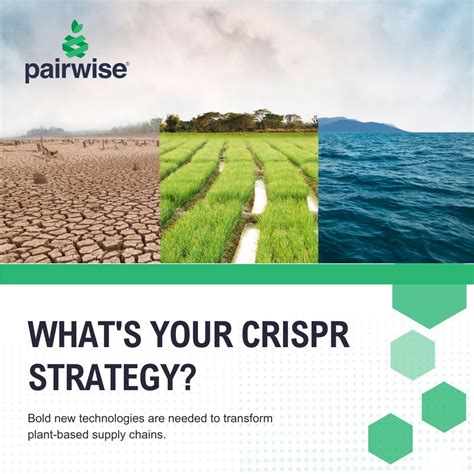Does Your Organization Have A Crispr Strategy Download Our Free White