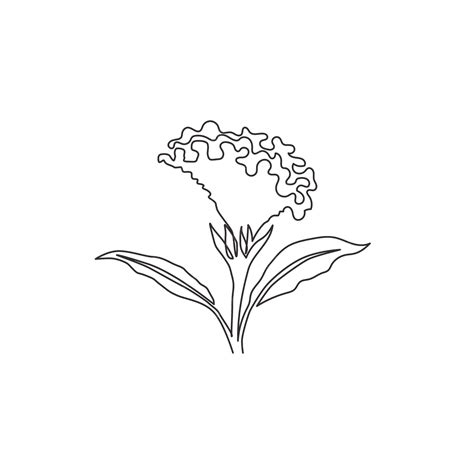 Premium Vector One Continuous Line Drawing Of Beauty Brain Celosia