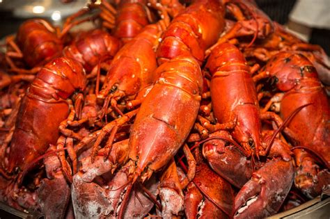 Kanadából érkezik A Homár A Tradicionális Vacsorára Női Váltó