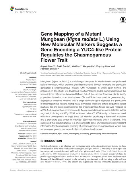 Pdf Gene Mapping Of A Mutant Mungbean Vigna Radiata L Using New Molecular Markers Suggests