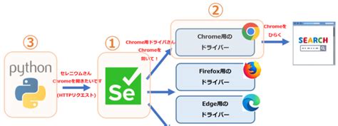 初心者向けPythonでSeleniumインストール手順ブラウザ自動操作 prtn blog