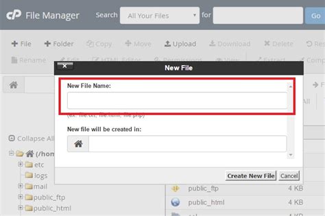 Cpanel File Manager Membuat File Baru Atau Folder Baru