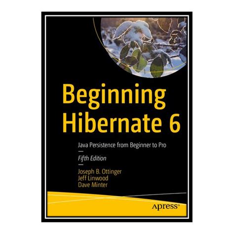 قیمت و خرید کتاب beginning hibernate 6 java persistence from beginner
