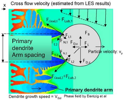 23 forces acting on a particle at a solidifying dendritic interface