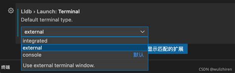 Mac Vscode配置以及 运行cc代码时无法弹出外部终端vscode编译c语言不出外部控制台 Csdn博客