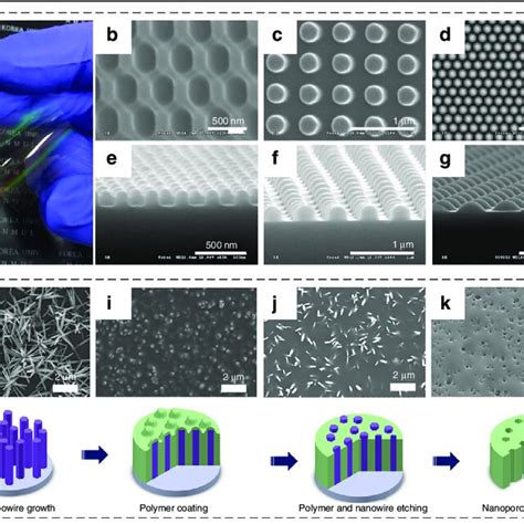 Sem Images And Corresponding Schematic Representations For The Download Scientific Diagram