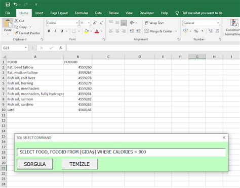 VBA Excel Ile SQL