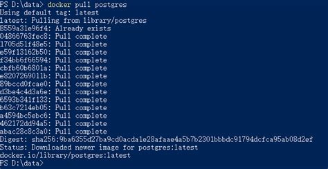 在docker中运行postgresql Pgadmin 4 Xhznl 博客园 在docker中运行postgresql Pgadmin 4 Xhznl 博客园