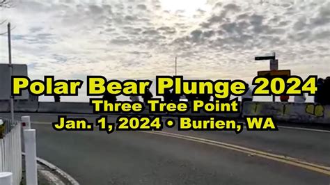 2024 Polar Bear Plunge At Three Tree Point Burien Wa Youtube