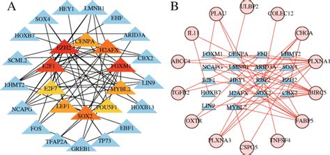 Protein Protein Interaction Network Based On Prognosis Related Download Scientific Diagram