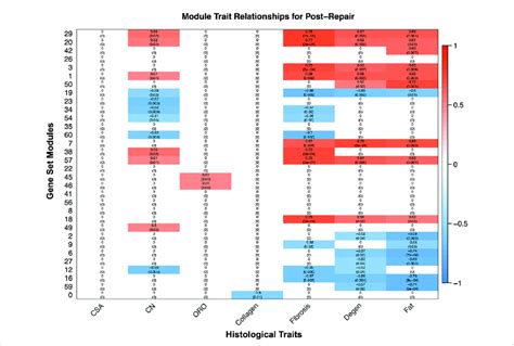 The Modules Unbiased Clustering Of Genes Described In Supplementary