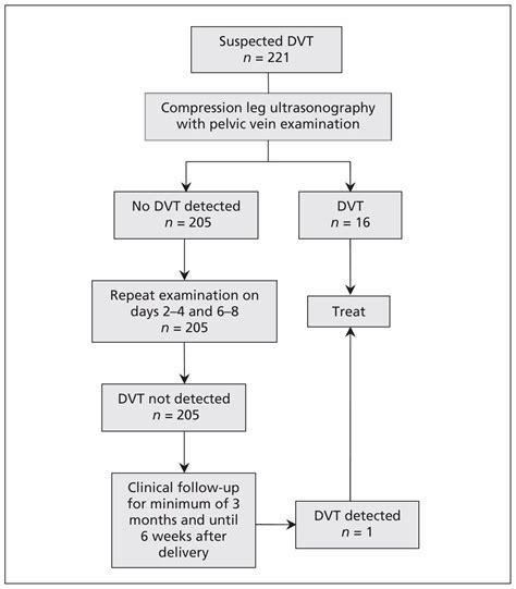 What Are The Signs Of Dvt In Pregnancy At Sherry Hubbard Blog