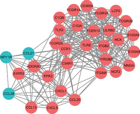 Ppi Networks Module Analysis A Module Rank 1 B Module Rank 1s Download Scientific