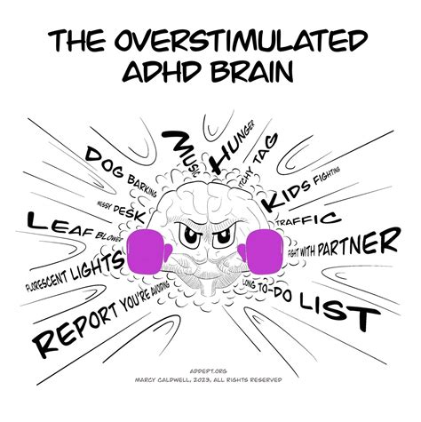 Adhd Brain Vs Normal Brain Function Differences And More Adhd Toolkits