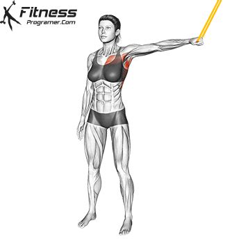 9 Shoulder Joint Movements Anatomy And Function