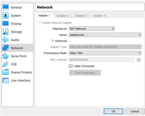 Networking Mac Address Spoofing Causes Vm Machine To Lose Physical