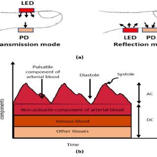 A Demonstration Of Two PPG Sensor Modes Transmission And Reflection Download Scientific
