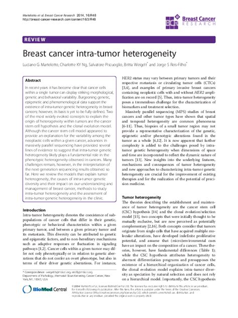 Pdf Breast Cancer Intra Tumor Heterogeneity