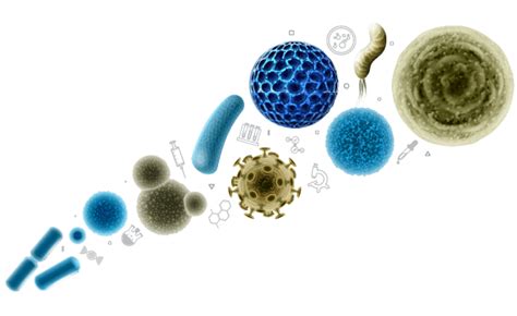 Immune Boost IV Therapy Oasis IV Hydration Odessa TX