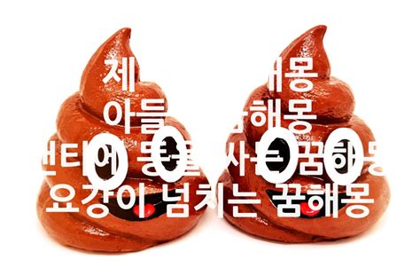 제비 똥꿈해몽 아들 똥꿈해몽 팬티에 똥을 싸는 꿈해몽 요강이 넘치는 꿈해몽 꿈해몽