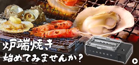 カセットボンベ 3本セット Igb 250b 108631│アイリスオーヤマ公式通販アイリスプラザ