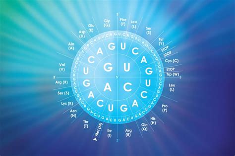 The Evolution Of Codon Optimization From Promise To Pragmatism Ansa Biotechnologies