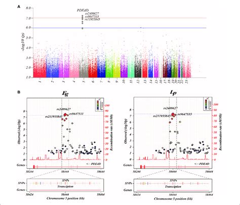 Common Genetic Variants Associated With Brain Networks A Manhattan