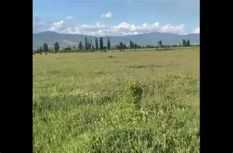 მიწის ნაკვეთები Miwebi Ge