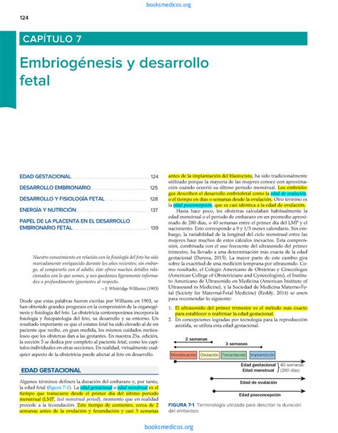 Calculo De Edad Gestacional Cap 7 124 Antes De La Implantación Del