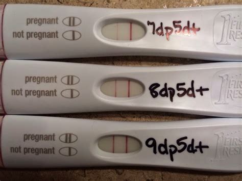 Baby Or Bust Our IVF Adventure