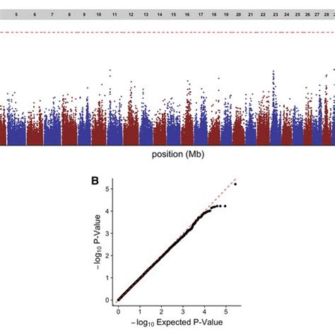 of gwas findings manhattan plot a and qq plot b of case control