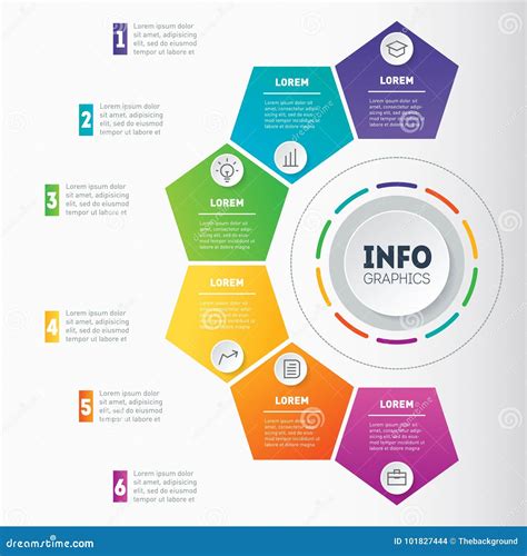 Infographic Or Business Presentation With 6 Options Vector Dynamic