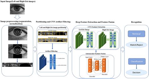 The Overview Of The Proposed System Retrieval And Classification Tasks Download Scientific