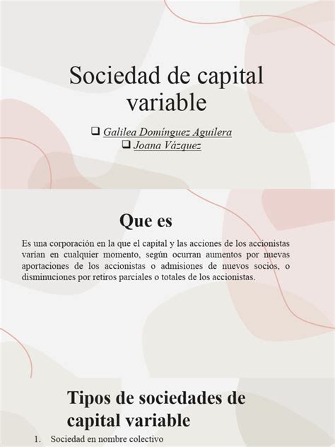Dm Sociedad De Capital Variable Pdf Sociedad Compartir Finanzas