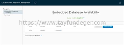 Cloud Director 10 Kurulumu Bölüm 4 Standby Cell Vmware